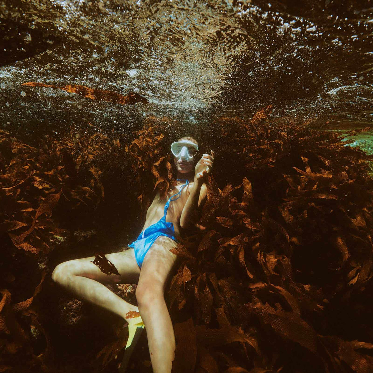 Damon Loble Transforms Underwater Imaging into Fine Art – Outex Underwater Camera Housings