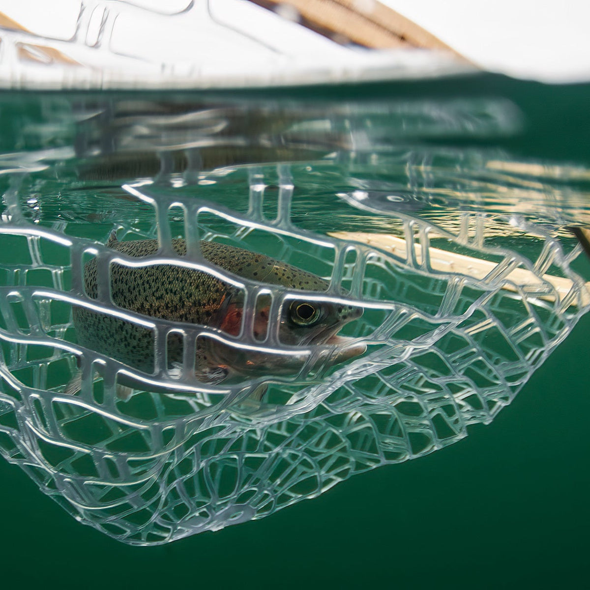 Why I made the change to Outex Water Housing by Neal Lally – Outex ...