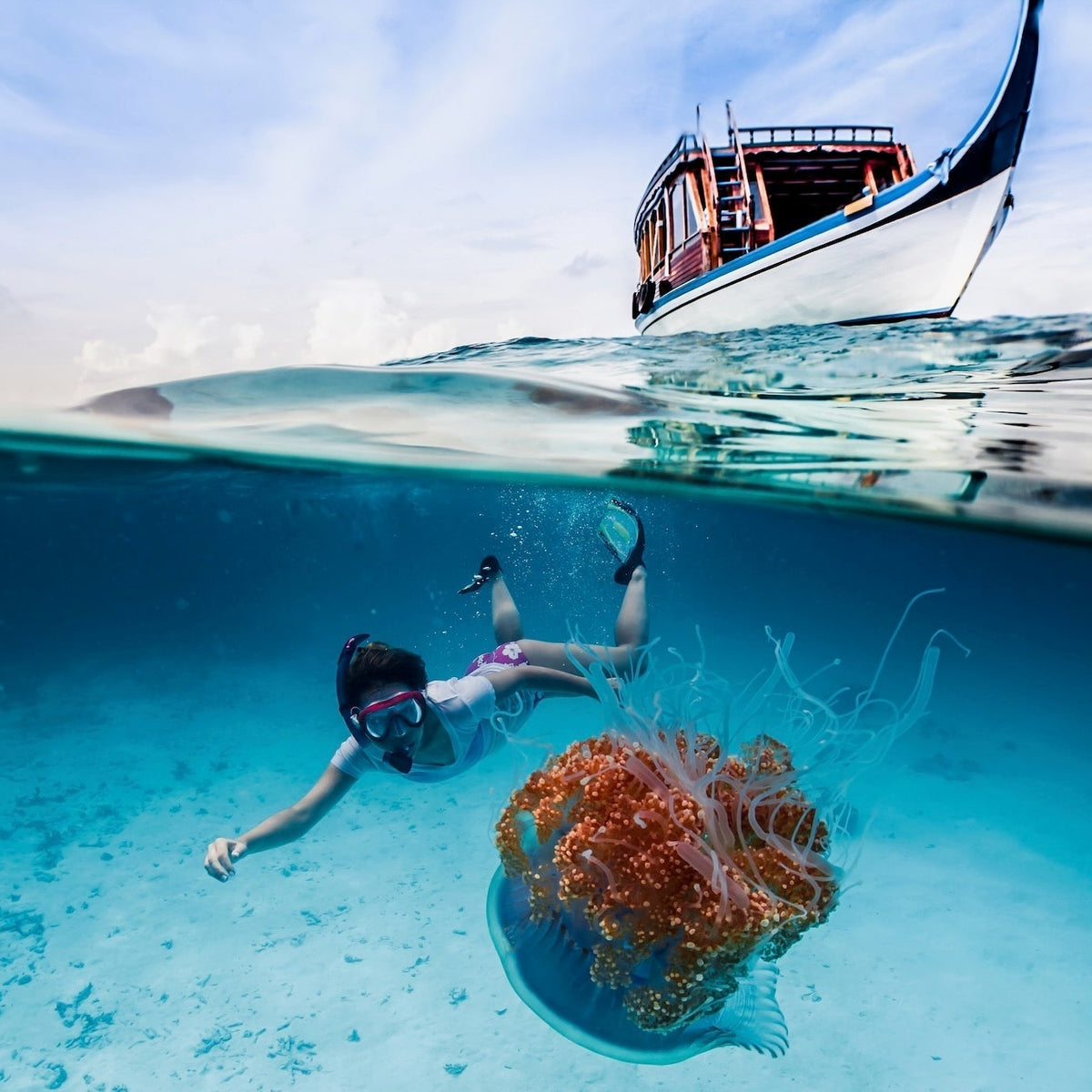 Top 10 Most Important Considerations for Underwater Imaging – Outex ...